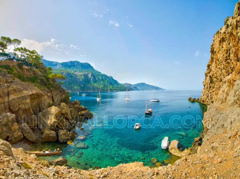 Ruta a Sa Foradada: senderismo a una cala única en Mallorca